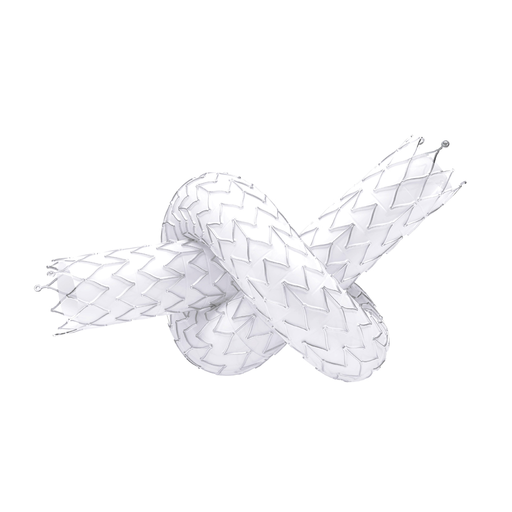 Selbstexpandierbarer ePTFE covered Stent - Aimecs